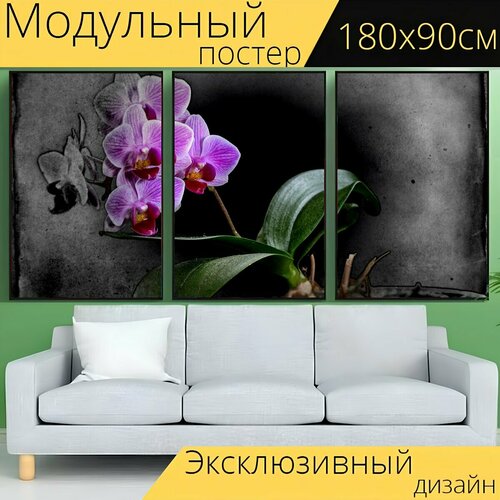 Модульный постер "Орхидея, картина, цвет" 180 x 90 см. для интерьера