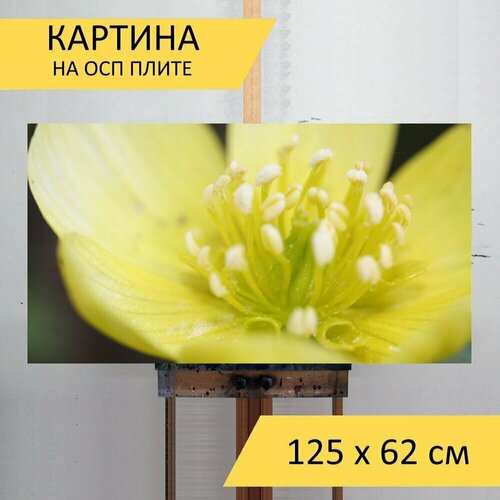 Картина на ОСП 125х62 см. "Зимовка, цветок, желтый" горизонтальная, для интерьера, с креплениями