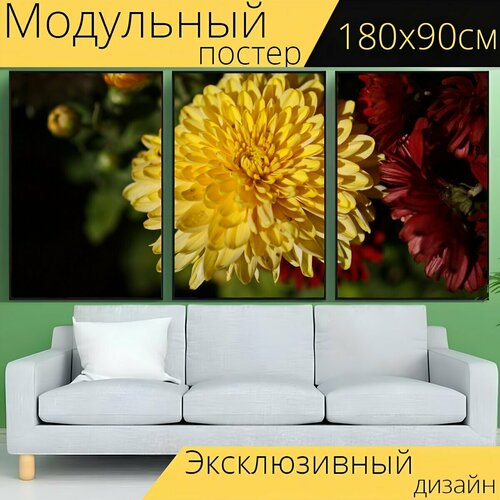 Модульный постер "Сад, цветок, хризантема" 180 x 90 см. для интерьера