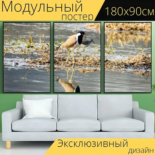 Модульный постер "Птица, отражение, лебедь" 180 x 90 см. для интерьера