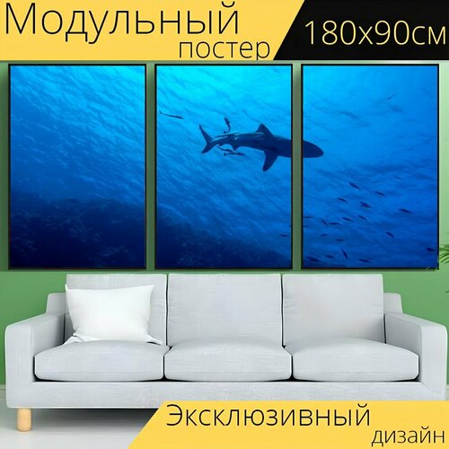 Модульный постер "Акула, большой барьерный риф, подводный" 180 x 90 см. для интерьера