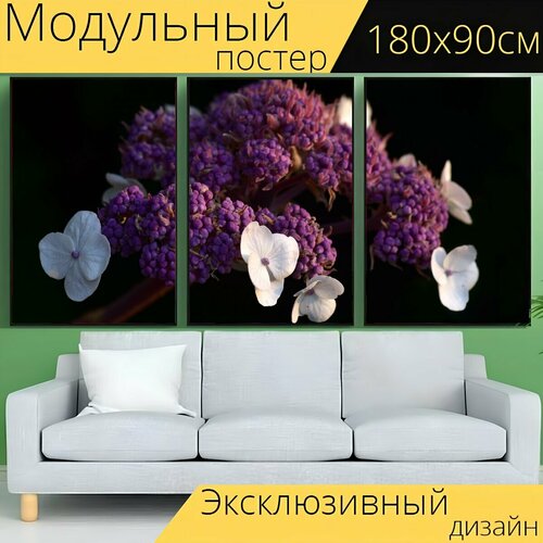 Модульный постер "Гортензия, садовая гортензия, фиолетовый" 180 x 90 см. для интерьера