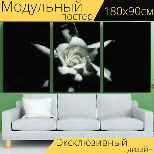 Модульный постер "Цветок, гардения, белый" 180 x 90 см. для интерьера
