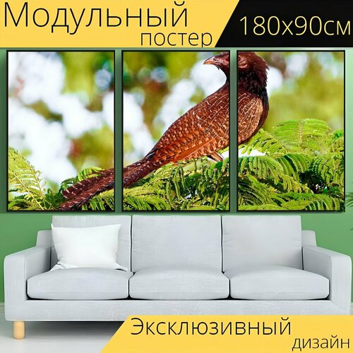 Модульный постер "Птица, дикий, природа" 180 x 90 см. для интерьера