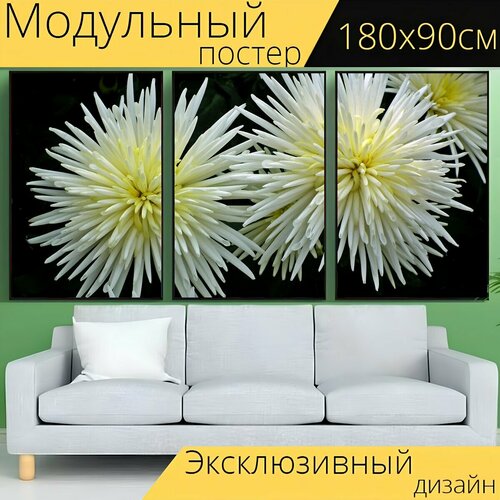 Модульный постер "Хризантемы, цветы, осень" 180 x 90 см. для интерьера