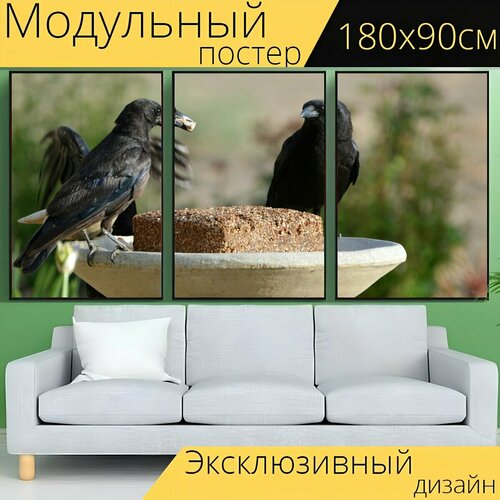 Модульный постер "Вороны, птицы, кормушки для птиц" 180 x 90 см. для интерьера