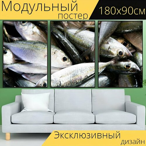 Модульный постер "Рыбы, морепродукты, тунец" 180 x 90 см. для интерьера