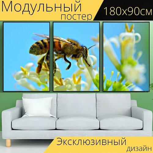 Модульный постер "Пчела, насекомое, животное" 180 x 90 см. для интерьера