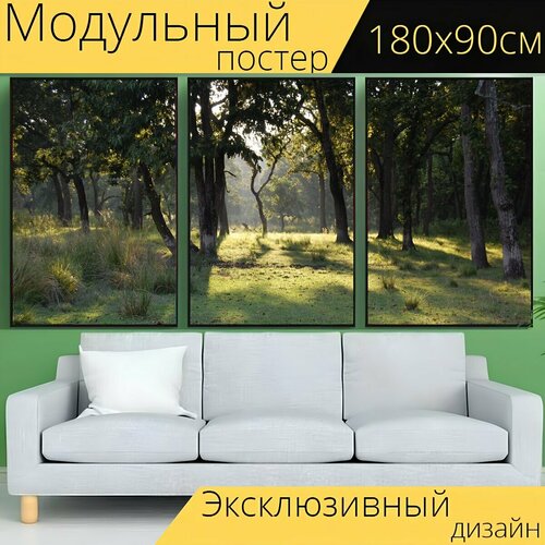 Модульный постер "Древесина, пейзаж, природа" 180 x 90 см. для интерьера