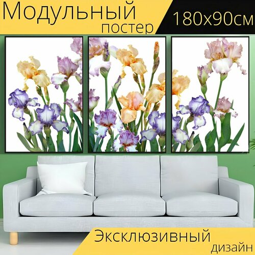 Модульный постер "Цветы, ирис, сад" 180 x 90 см. для интерьера