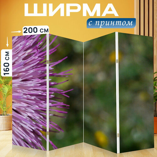 Ширма перегородка с принтом "Природа, цветок, трава" на холсте - 200x160 см. для зонирования, раскладная