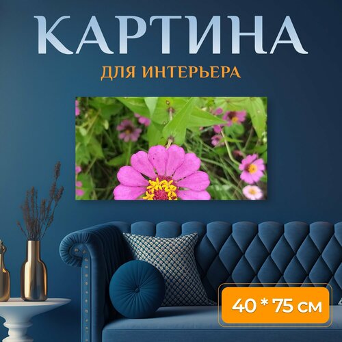 Картина на холсте "Цветок циннии, цветок, естественный" на подрамнике 75х40 см. для интерьера