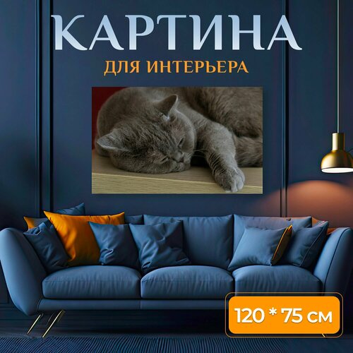 Картина на холсте "Кот, животные, тигр" на подрамнике 120х75 см. для интерьера
