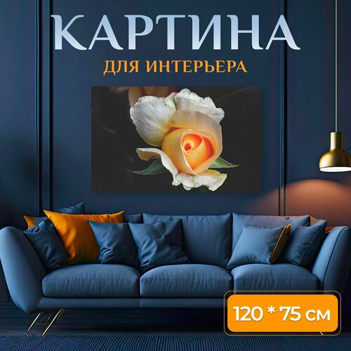 Картина на холсте "Цветы, роза, завод" на подрамнике 120х75 см. для интерьера