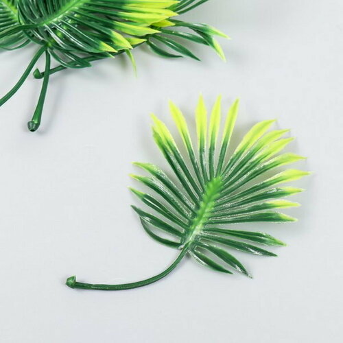 Декор для творчества "Лист пальмы на стебле" набор 5 шт зелёный градиент 8х13.5 см