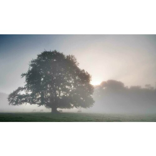 Картина на холсте 60x110 Альянс Лес "Деревья в тумане" на подрамнике / интерьер/ декор