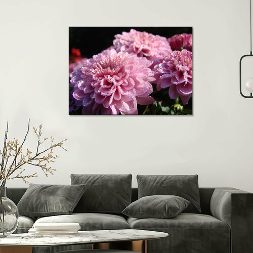 Интерьерная картина на холсте - розовые хризантемы 40х60