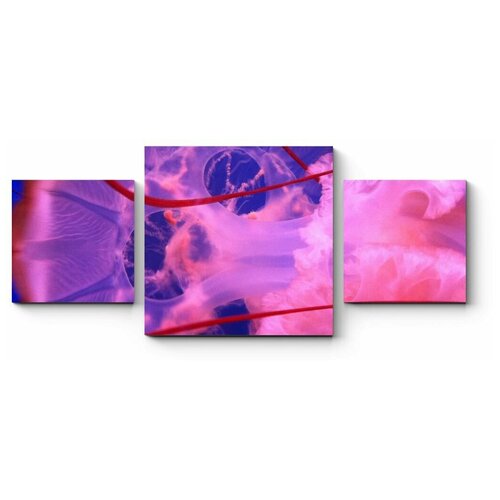 Модульная картина Розовая медуза70x30