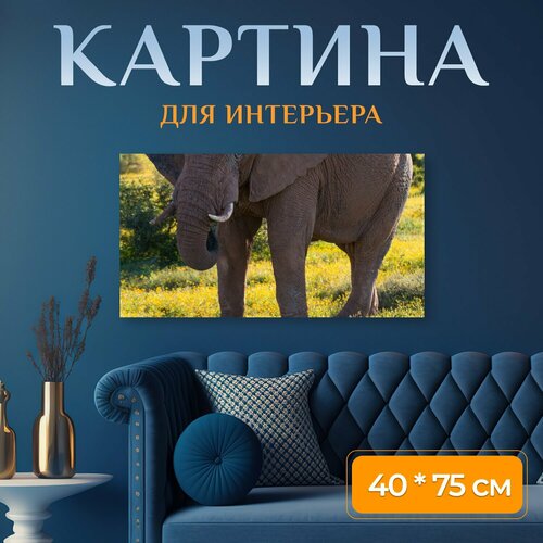 Картина на холсте "Слон, южная африка, сафари" на подрамнике 75х40 см. для интерьера