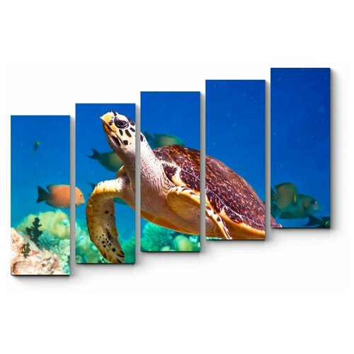 Модульная картина Черепаха в коралловом рифе180x126