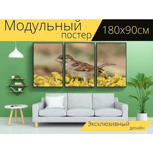 Модульный постер "Воробей, самодельный, дом" 180 x 90 см. для интерьера