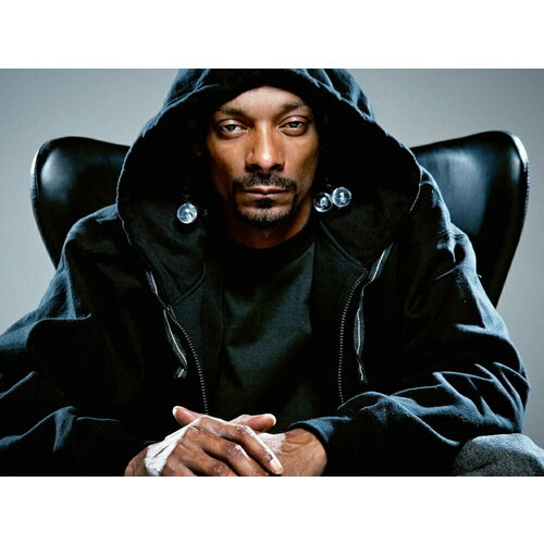 Плакат, постер на бумаге Snoop Dogg/Снуп Догг/музыкальные/поп исполнитель/артист/поп-звезда/группа. Размер 42 х 60 см