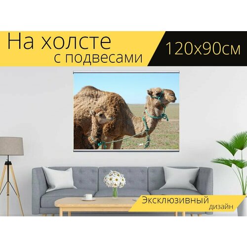 Картина на холсте "Марокко, верблюд, мать" с подвесами 120х90 см. для интерьера