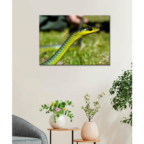 Картина - змея, зелёная змея, змея в траве, маленькая змея (17) 50х70