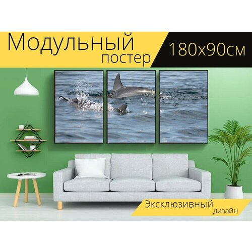 Модульный постер "Спинной плавник, дельфины, морские млекопитающие" 180 x 90 см. для интерьера