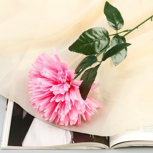 Poetry in flowers Цветы искусственные "Астра сфера" 12х60 см, розовый