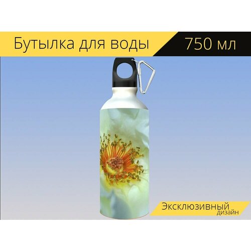 Бутылка фляга для воды "Белая роза, роуз, цветок" 750 мл. с карабином и принтом