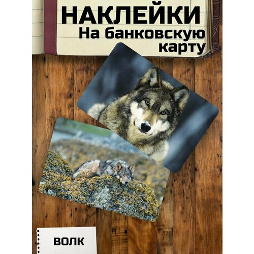 Наклейка на карту банковскую - с волком, Наклейки Волк зверь хищник