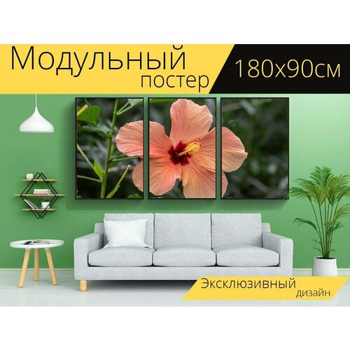 Модульный постер "Гибискус, цветок, тропический" 180 x 90 см. для интерьера