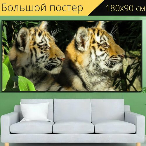 Большой постер "Животное, тигр, молодой тигр" 180 x 90 см. для интерьера