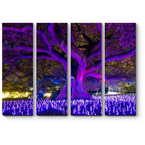 Модульная картина Фестиваль света, Сидней 90x68