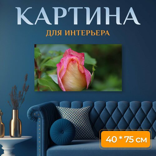 Картина на холсте "Роза, цветок, весна" на подрамнике 75х40 см. для интерьера