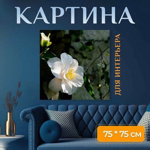 Картина на холсте "Камелия, цветы, ястреб" на подрамнике 75х75 см. для интерьера