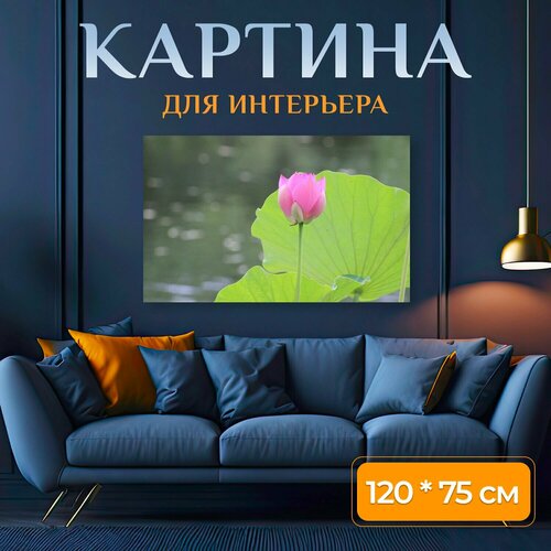 Картина на холсте "Лотос, цветок, завод" на подрамнике 120х75 см. для интерьера