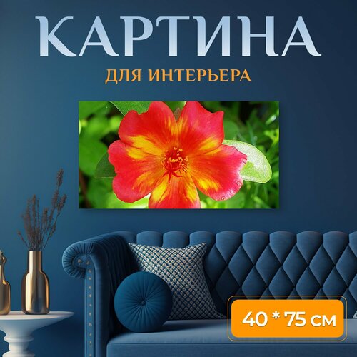 Картина на холсте "Цветок, декоративные, красный цветок" на подрамнике 75х40 см. для интерьера