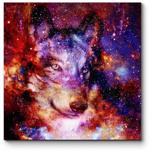 Модульная картина Космический волк 30x30
