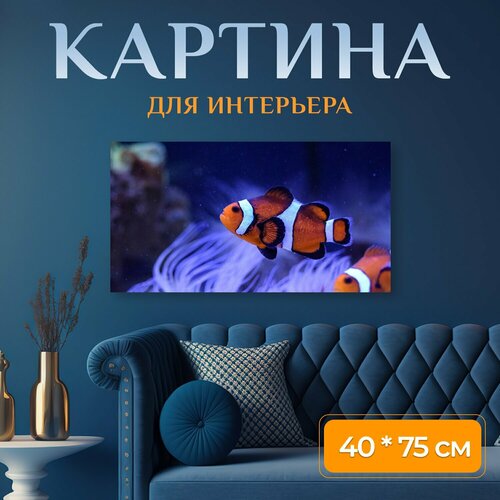Картина на холсте "Рыба, аквариум, рыбы" на подрамнике 75х40 см. для интерьера