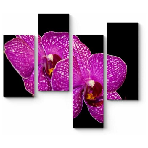 Модульная картина Тропическая орхидея 134x126