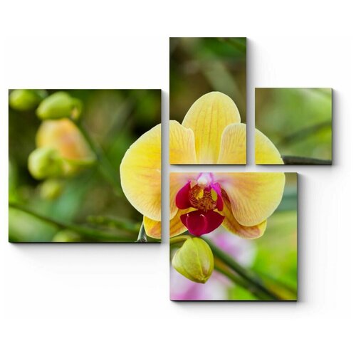 Модульная картина Тропическая орхидея, цветущая в летнем саду 162x135
