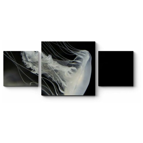 Модульная картина Белая медуза70x30