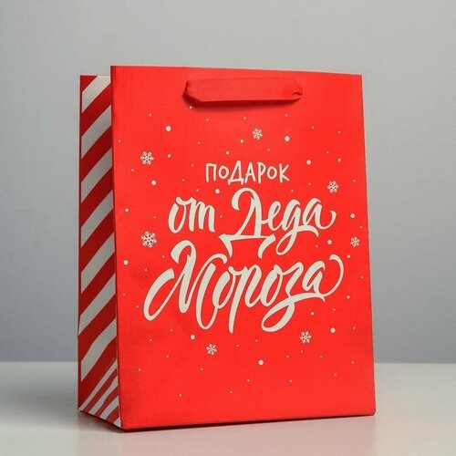 Дарите Счастье Пакет ламинированный вертикальный «Подарок от Деда Мороза», MS 18 × 23 × 10 см