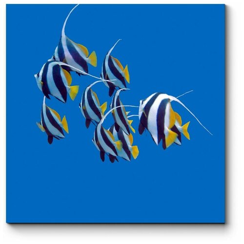 Модульная картина Тропические рыбы 90x90