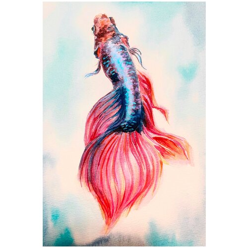 Постер / Плакат / Картина Аквариумная рыбка 40х50 см в подарочном тубусе