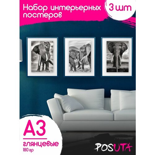 Постеры Слоны животные Африки картины настенные А3