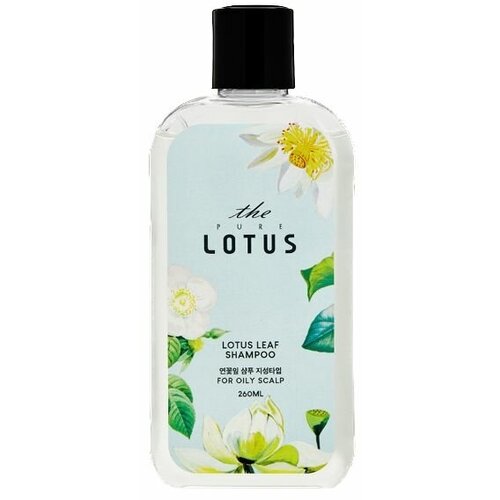 THE PURE LOTUS Шампунь для жирной кожи головы Lotus Leaf Shampoo For Oily Scalp