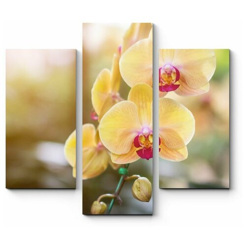 Модульная картина Чарующая орхидея 120x108